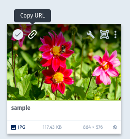 Recomendación: Aplicación para convertir una imagen a URL – Riqra